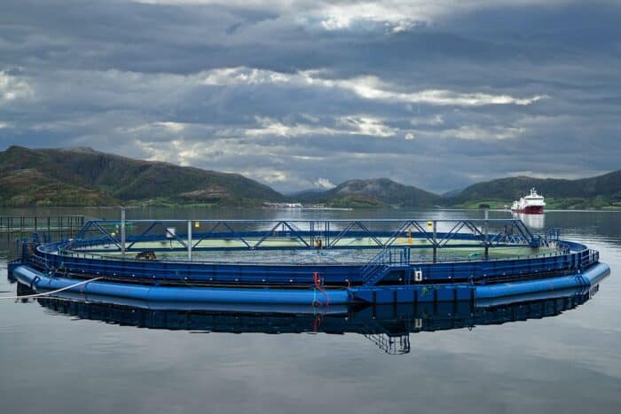 Aquatraz semi closed fish cage prevents salmon lice – Seafarming Systems